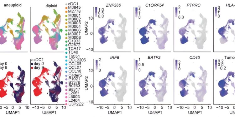 Scientists devise new way to eliminate cancer cells’ evasion of immune ... Scientists devise new way to eliminate cancer cells’ evasion of immune ...
